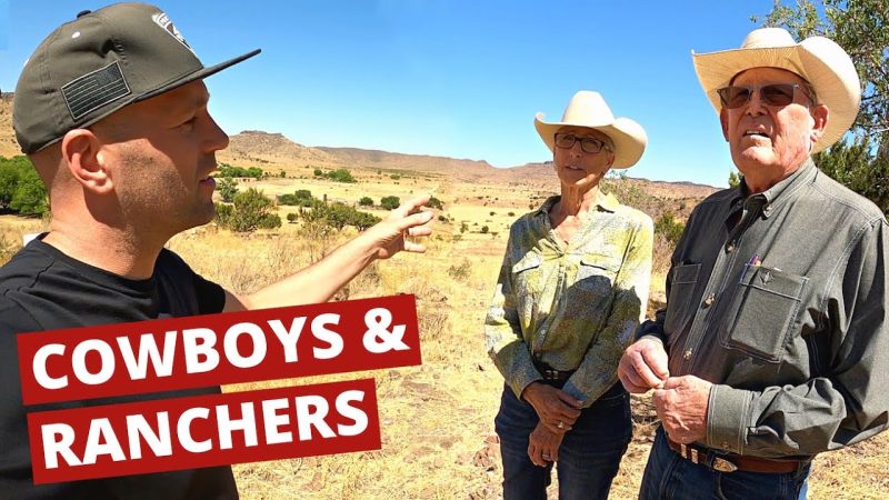 Videos – Peter Santenello